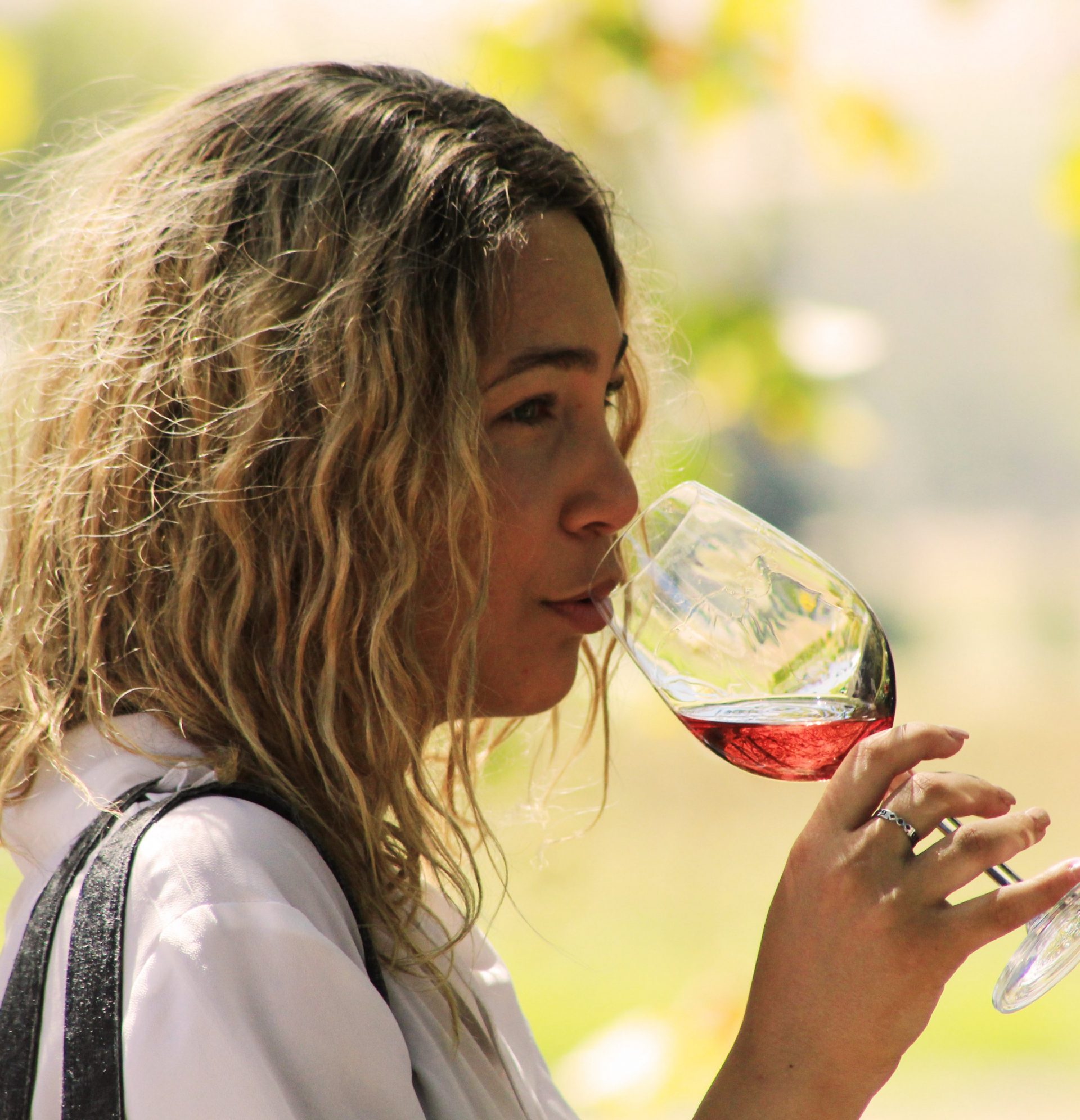 Jordan Estate Wine Tastings & Picnics! - Eat Drink Cape Town